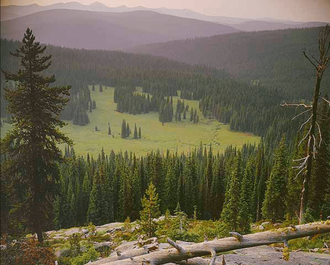 Train Dreams | It's About Empathy – Connection Ties Us Together